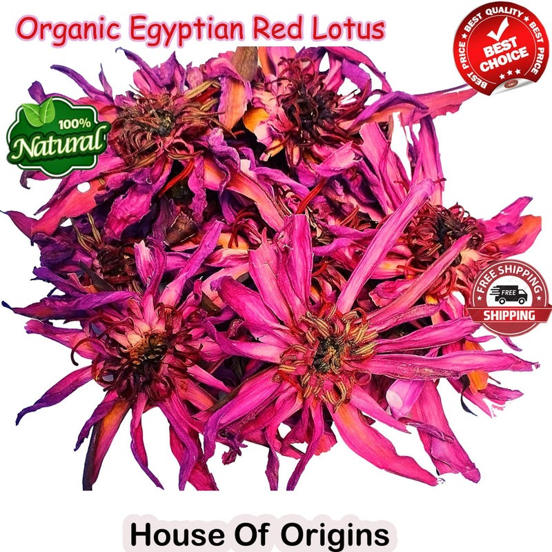 Blue and Red Lotus Tea - Etsy UK