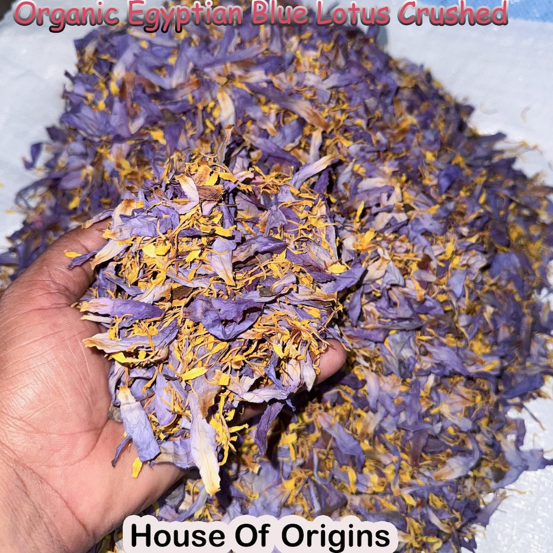 Organic Crushed Blue Lotus Tea | Nymphaea Caerulea Petals for ...