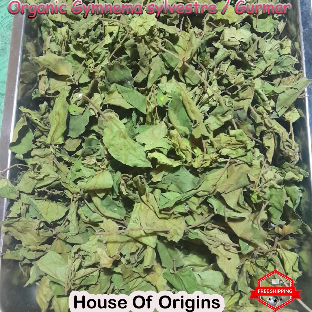 25 Grams Gymnema Sylvestre, Gurmar Leaf, Freshly Air Dehydrate to ...