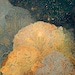 Gustav Klimt Autumn Style Landscape Trees Art Digital Products - High ...