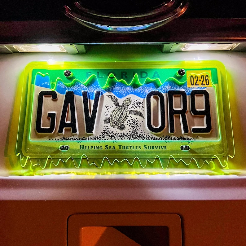 Slime Ooze License Plate Frame – JDM Car Show Tuner Plate Cover, Unique ...