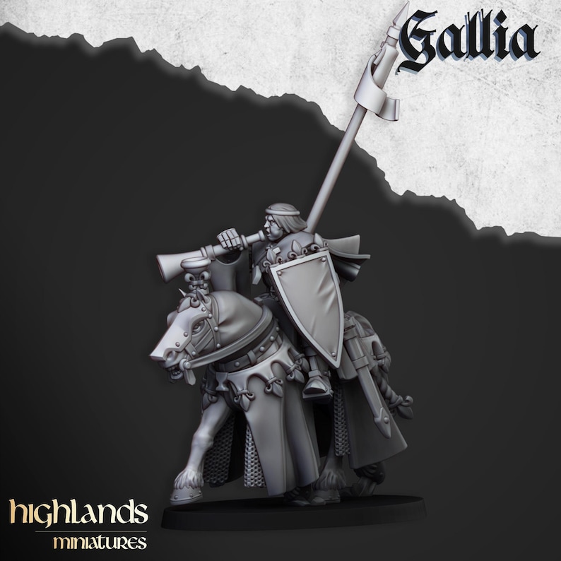 Royal Knights of Gallia - Etsy