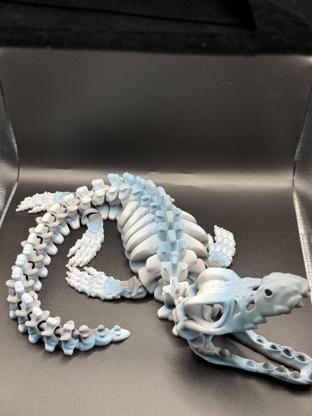 Articulated Mosasaurus Skeleton Model – 23” Long | 3D Printed ...