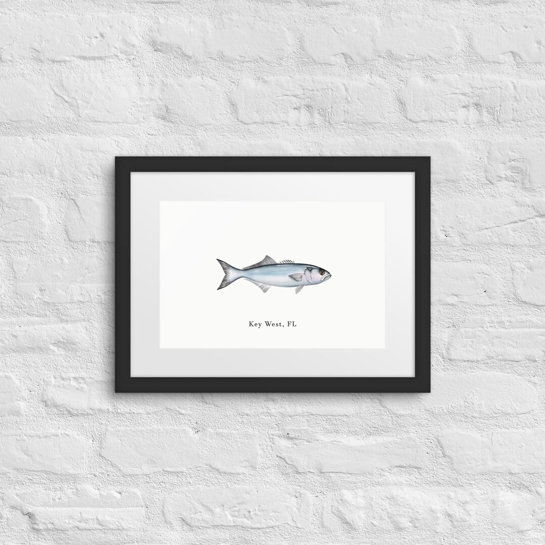 Bluefish Art Print | Key West Fishing Wall Decor | Ocean Marine Life ...
