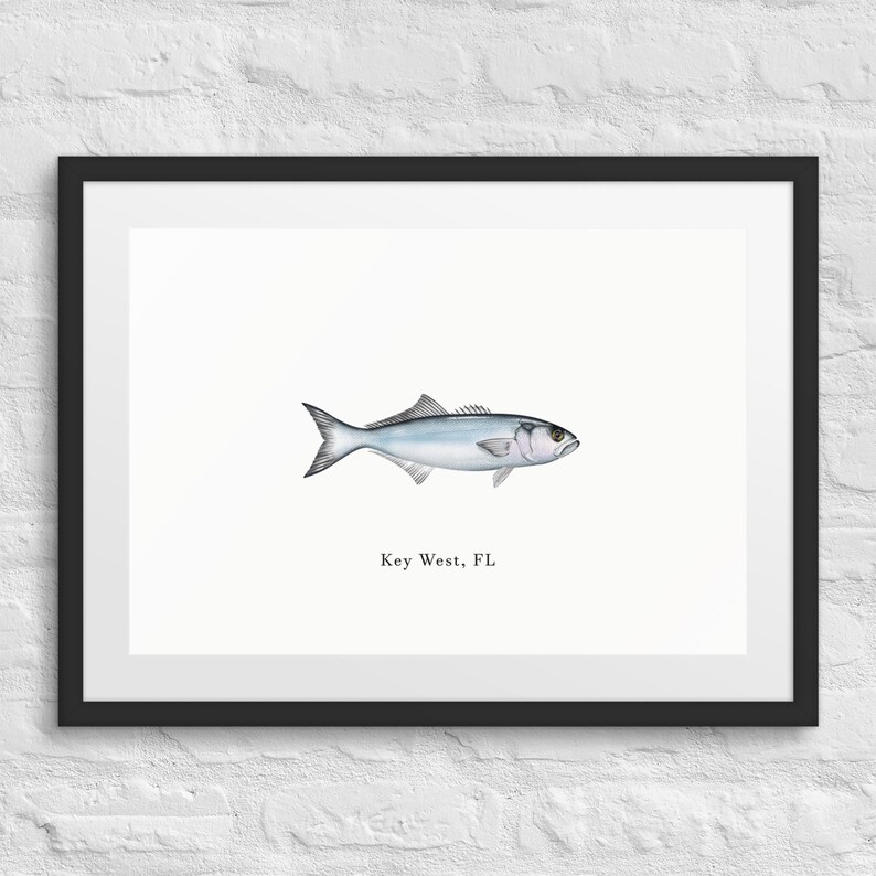 Bluefish Art Print | Key West Fishing Wall Decor | Ocean Marine Life ...
