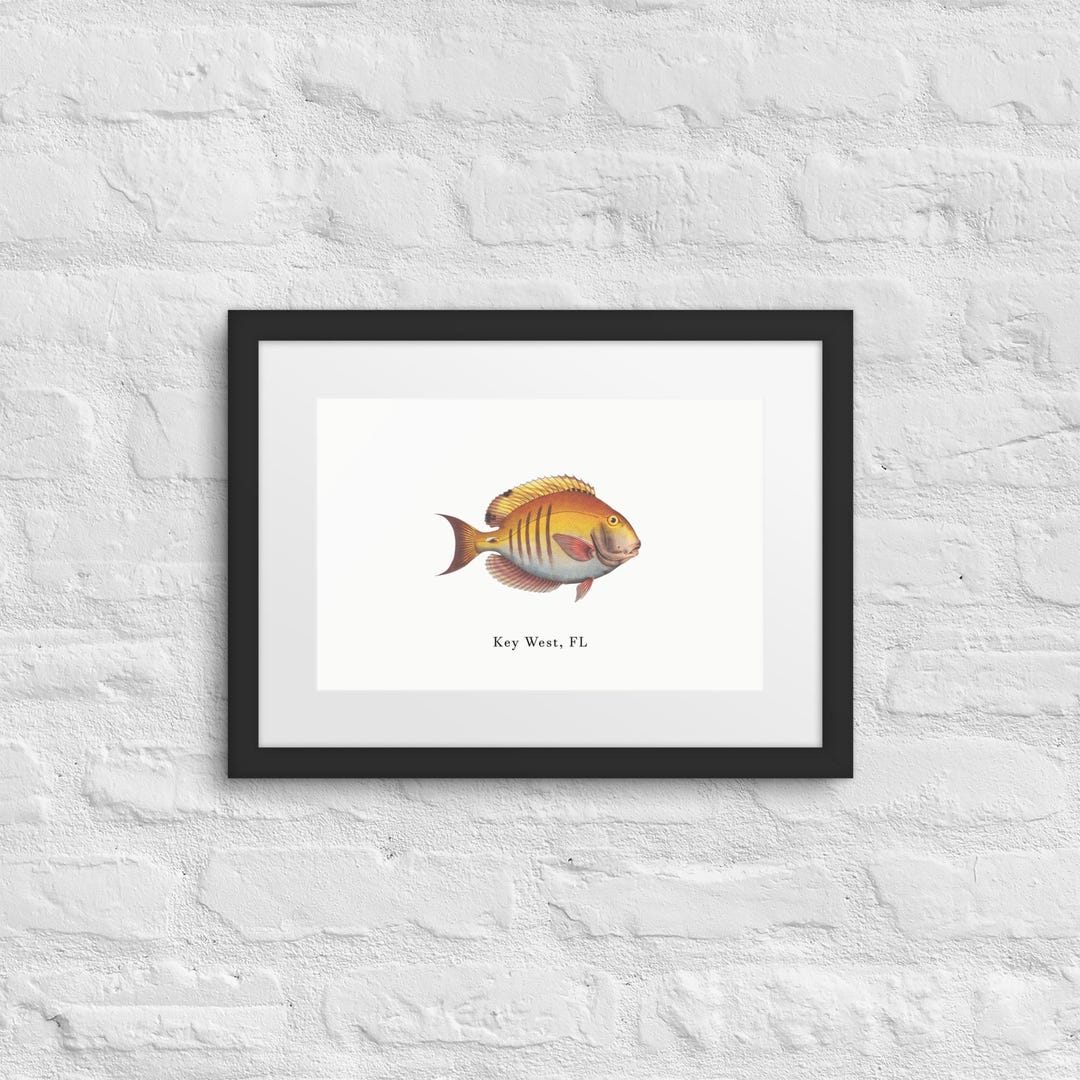 Doctorfish Tang Art Print | Key West Fish Illustration | Coastal Ocean ...