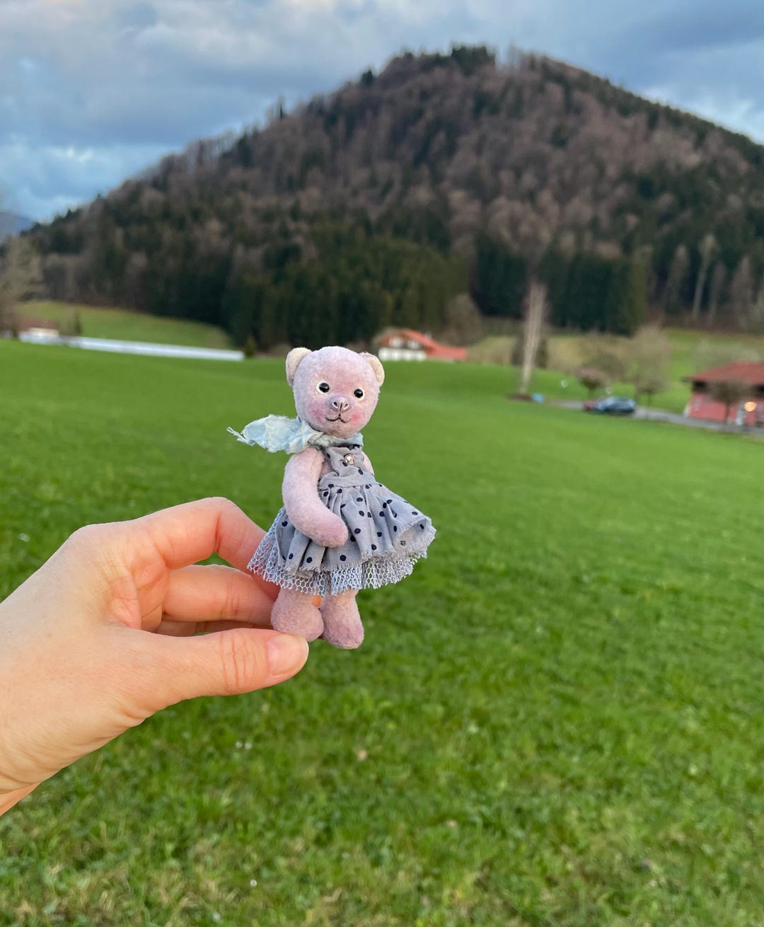 Name Celine (girl) Teddy Bear, Talisman Bear, Miniature. - Etsy Australia