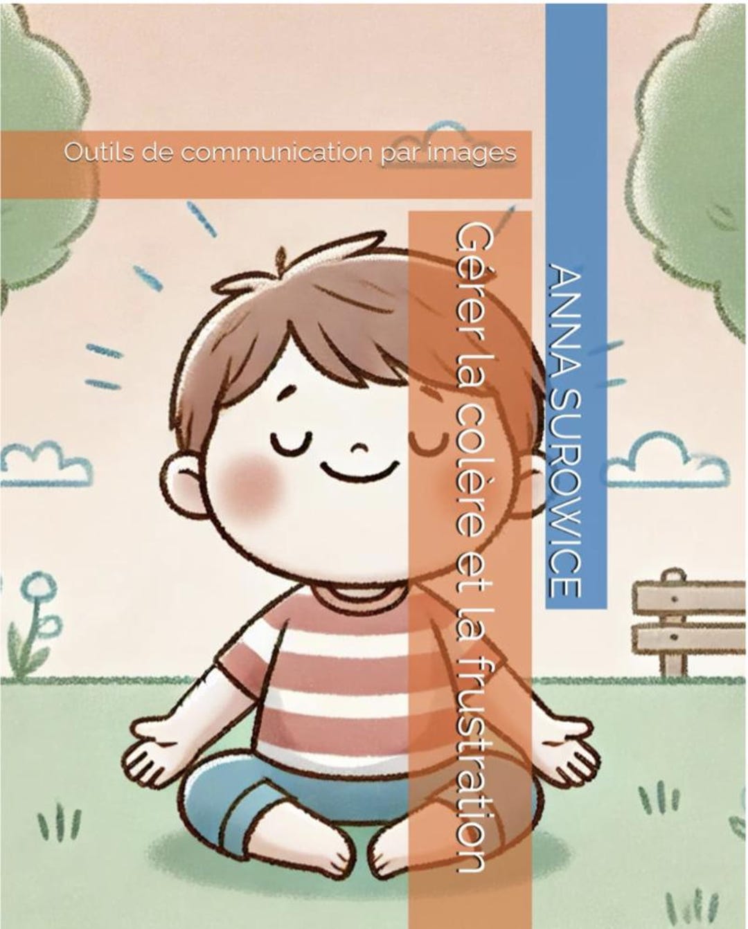 Managing Anger and Frustration - Visual Scenario for Nonverbal Children ...