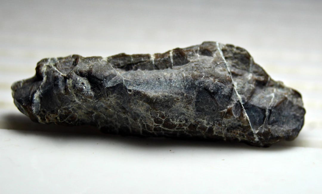 35 CT Rare Old Dinosaur Strips Agate Fossil for Collectors - Raw ...