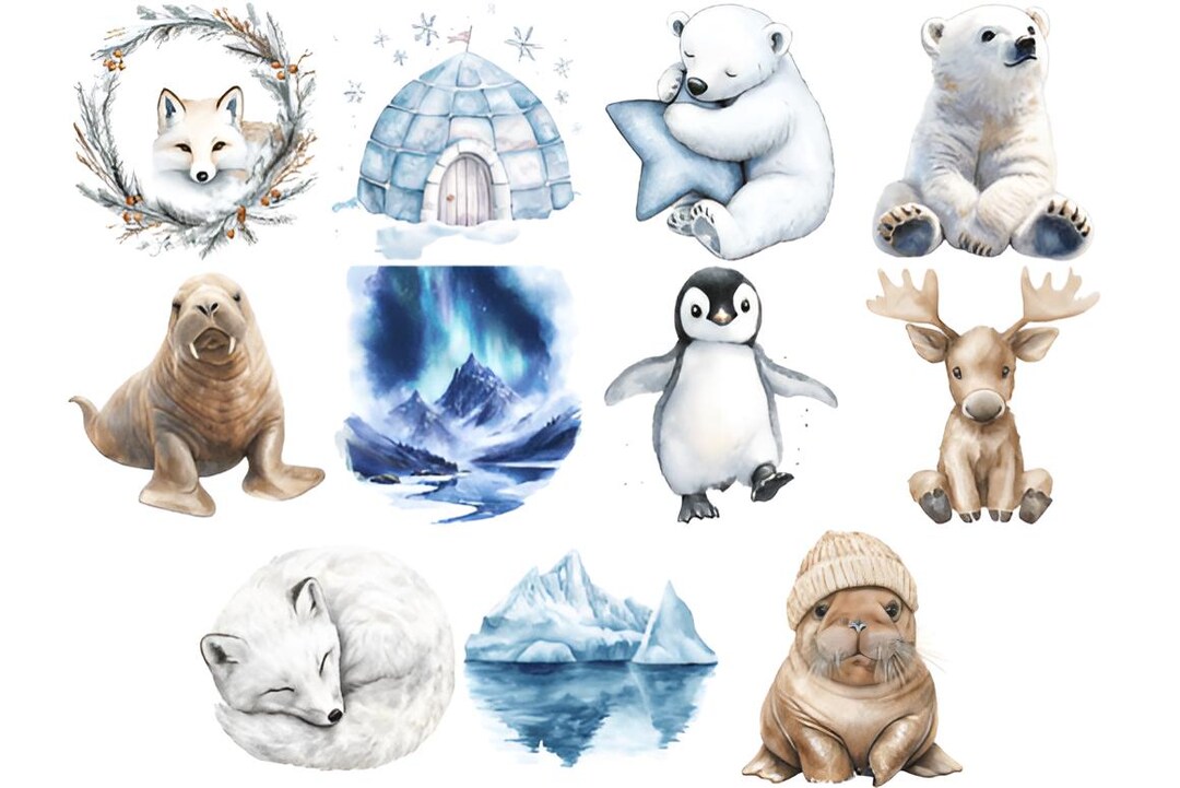 Arctic Animals Clipart Bundle (23 Pngs), Watercolor Polar Bear Penguin ...