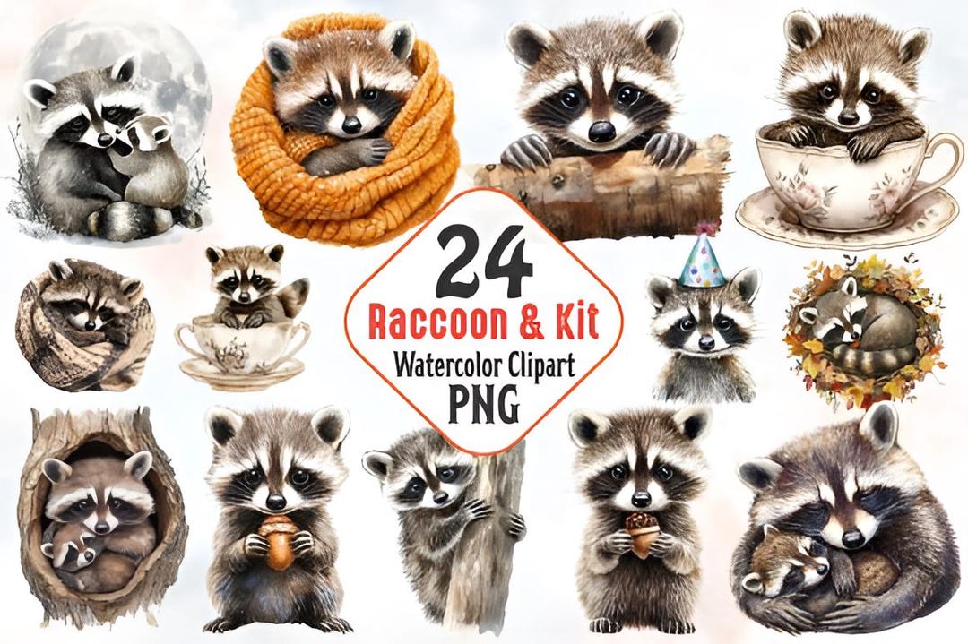 Watercolor Raccoon Clipart Set (24 Designs), Cute Baby Raccoons & Kits ...