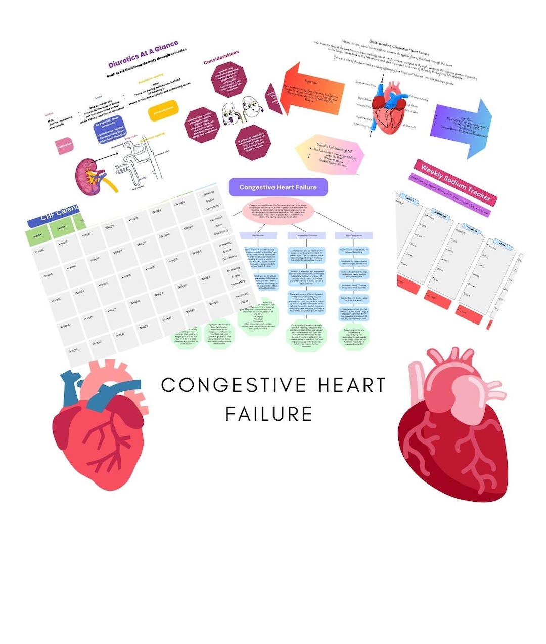 CHF Patient Education Bundle-heart Failure Basics, Weight and Sodium ...