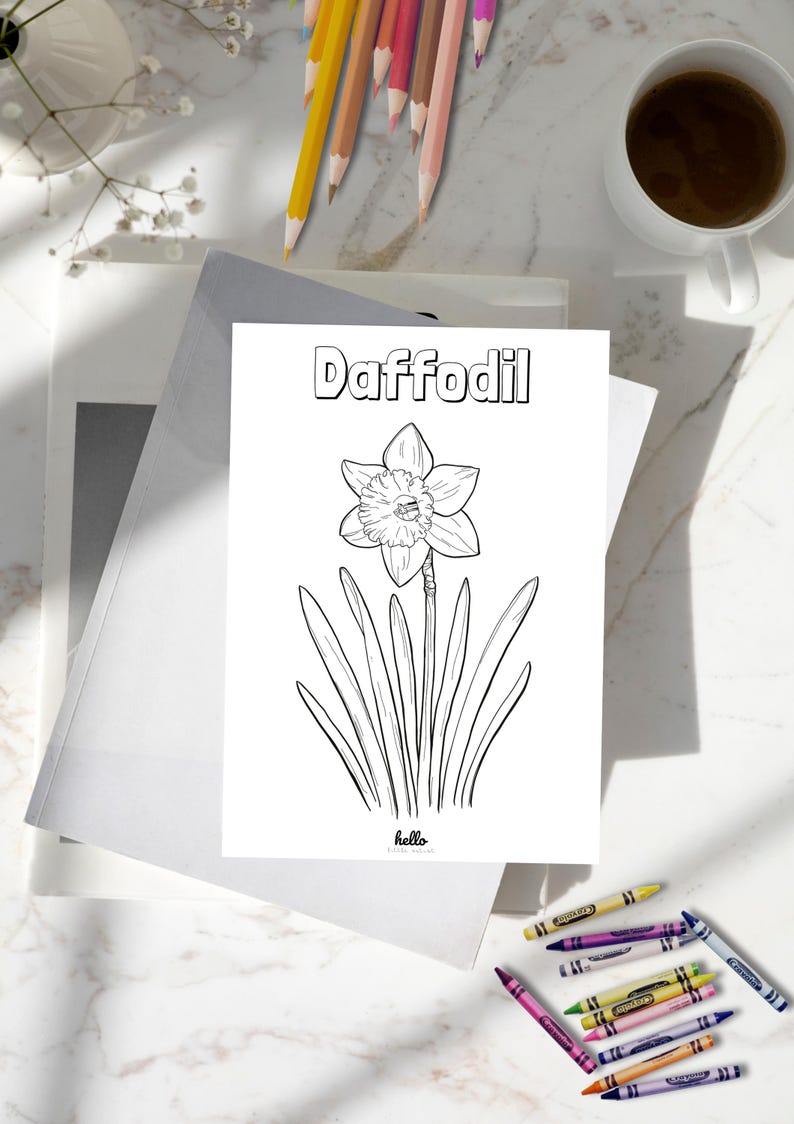 Daffodil Coloring Page – Printable Flowers, Botanical Coloring Pages for Kids & Adults, Digital ...