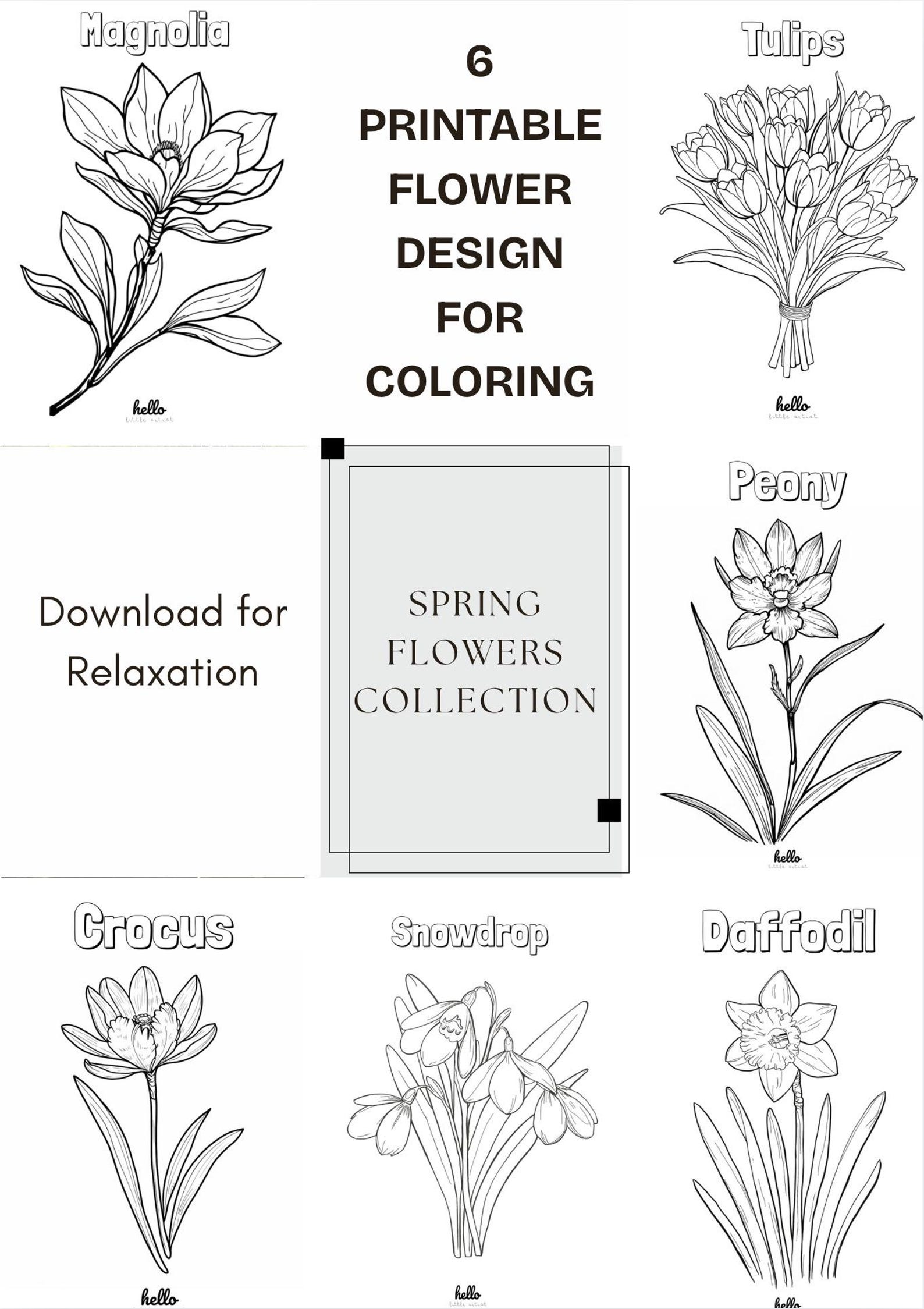 Flower Coloring Pages | 6 Printable Floral Designs | Instant Digital ...