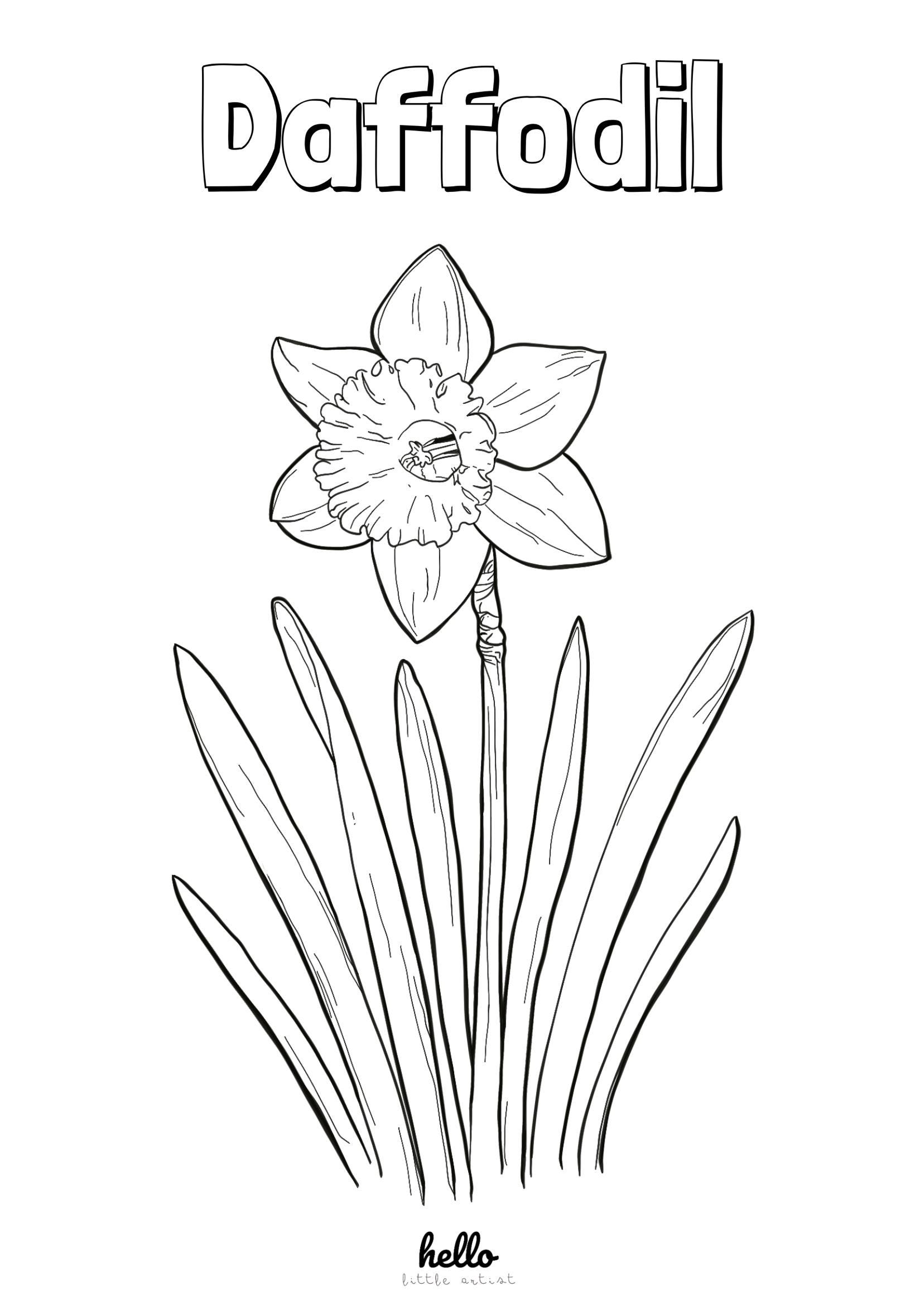Flower Coloring Pages | 6 Printable Floral Designs | Instant Digital ...