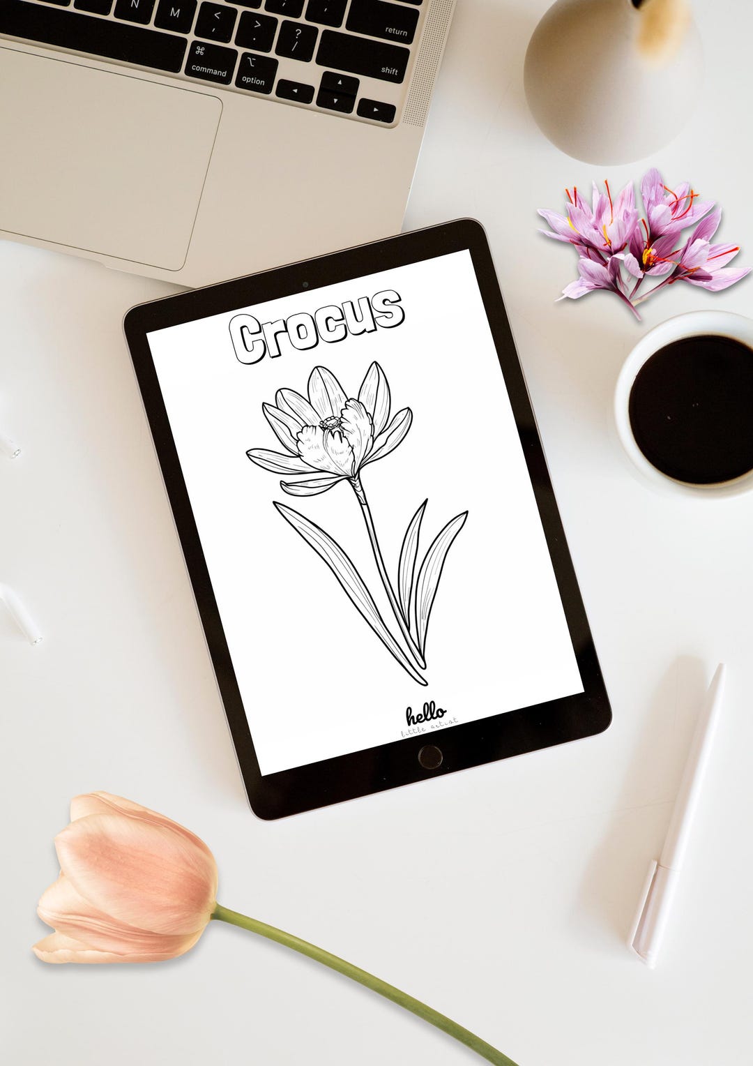 Crocus Coloring Page – Printable Spring Flower Coloring Sheet ...