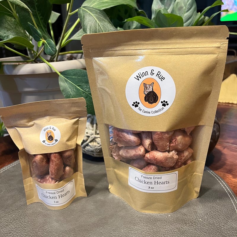 Cat With Chickens - Etsy