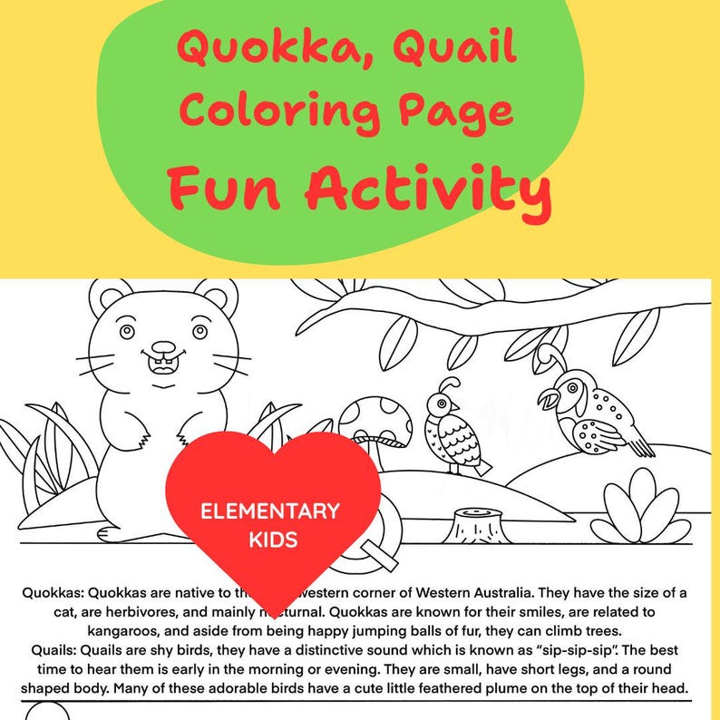 Quokka Quail Coloring Page, Q Letter Alphabet Coloring Page ...