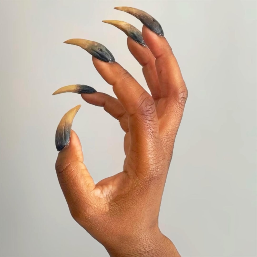 Creature Nails | Claws | Costume | Accessories - Etsy