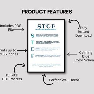 DBT Skills, DBT Poster Emotional Regulation, Dialectic Behavioral ...
