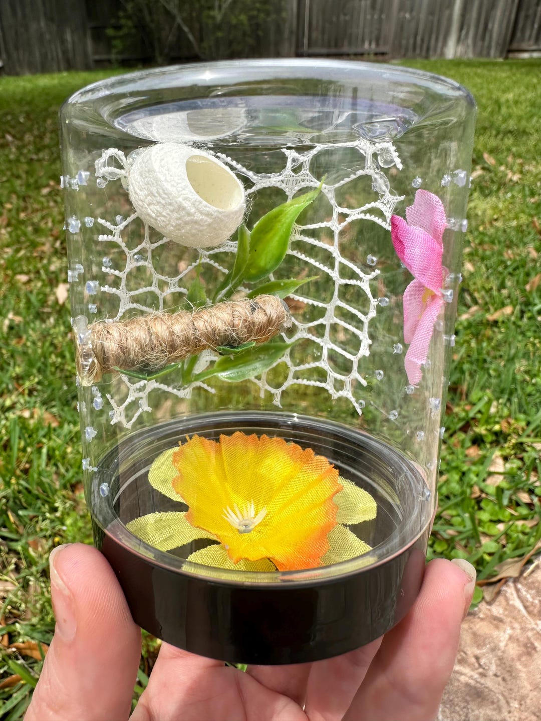 Juvenile Jumping Spider Enclosure - Etsy