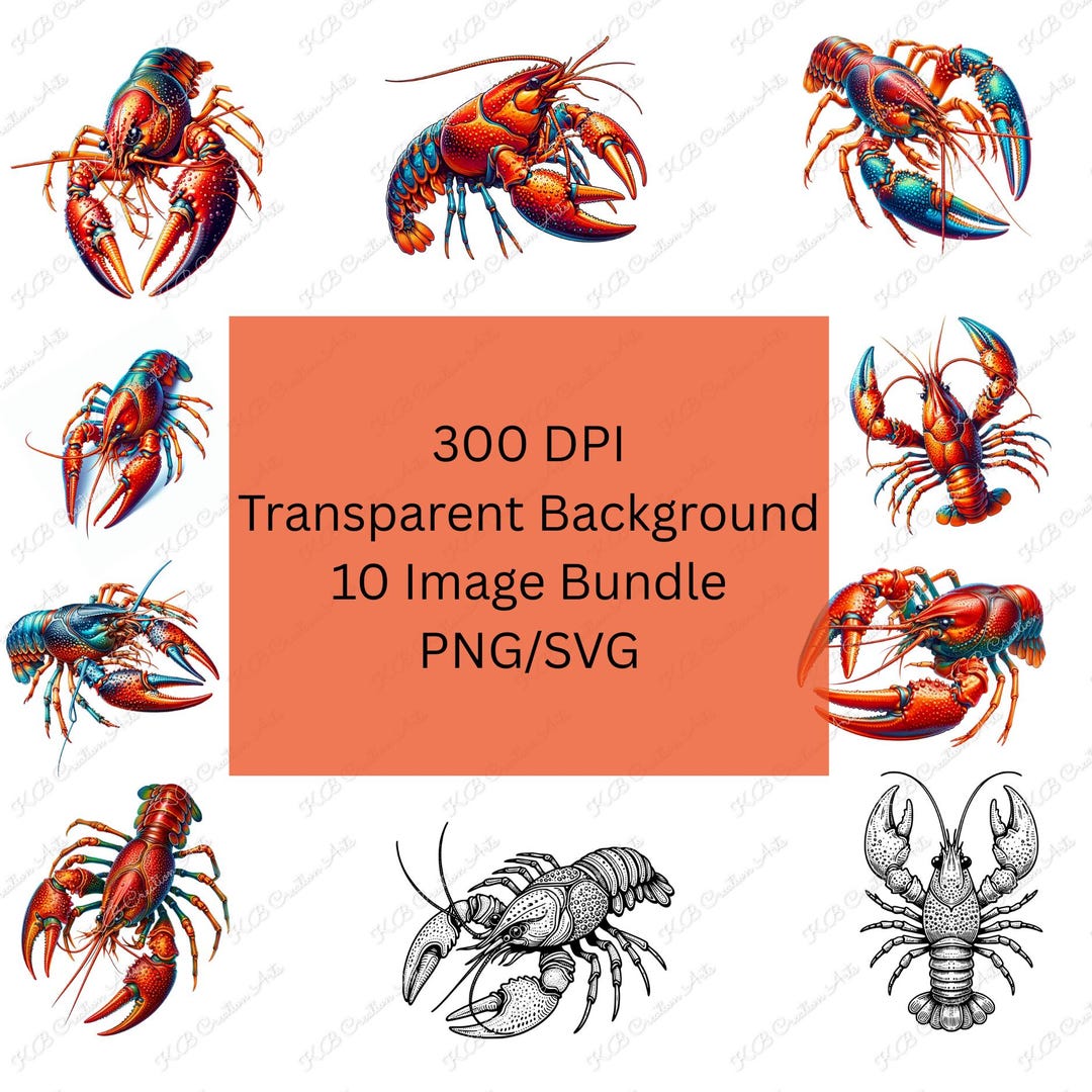 Crawfish Clipart Bundle, SVG PNG Crawdad Designs, Crayfish, Mudbugs - Etsy