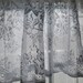 Vintage Scottish Cotton Lace Roses Valance/white or Cream - Etsy
