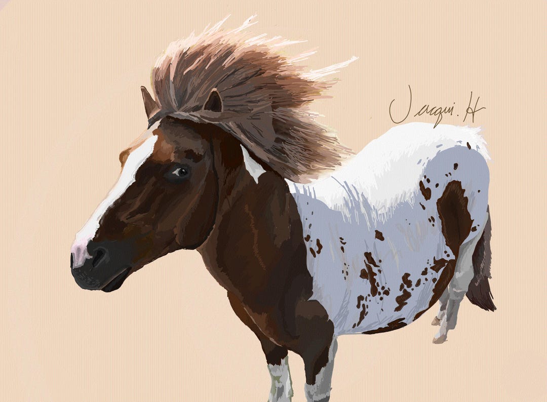 Horses, Art, Equine, Digital Art, Horse, Horse Art, Horse Commissions ...