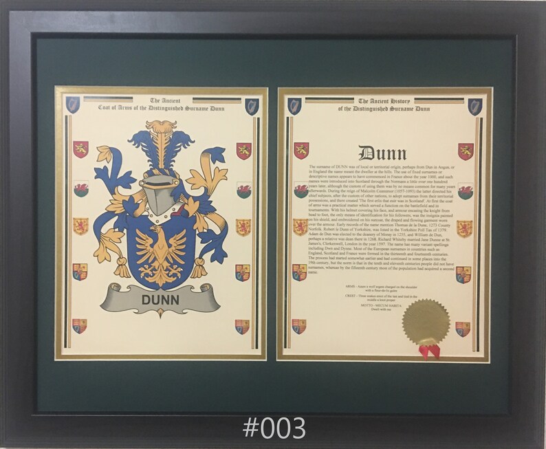 Framed Coat of Arms & Family Name History All Nationalities - Etsy