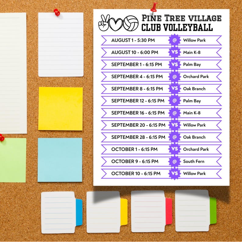 Editable Volleyball Schedule Template: Sports Team Itinerary (canva) - Etsy
