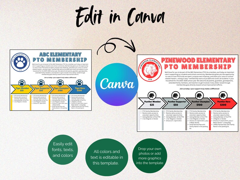 Editable PTA PTO Membership Tier Template | Canva School Flyer ...