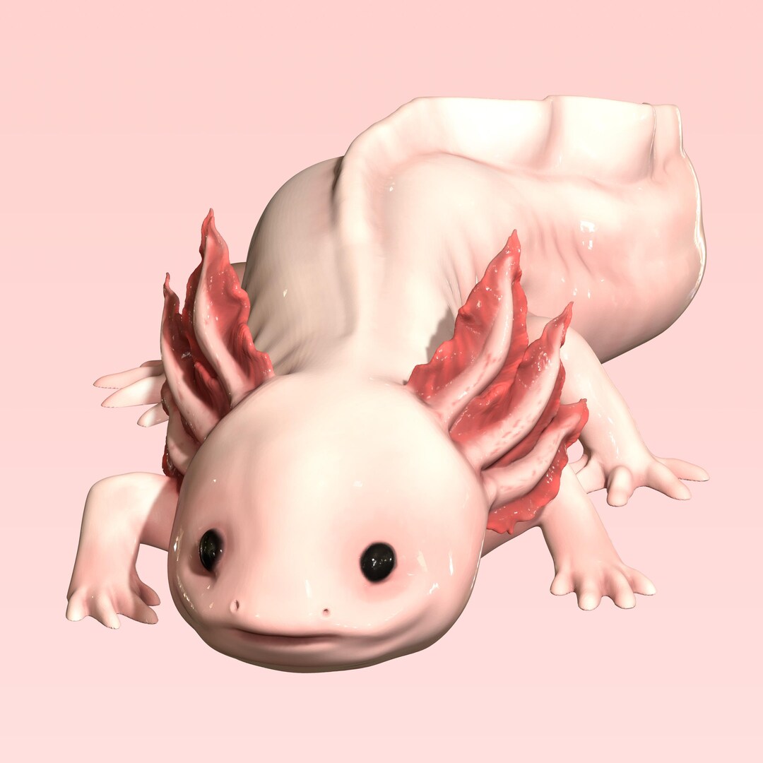 3D Axolotl Model: FDM Printer File [digital Download] - Etsy