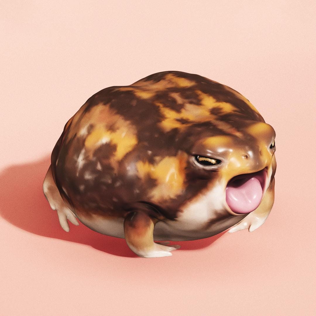 Yawning Desert Rain Frog [digital Download] - Etsy