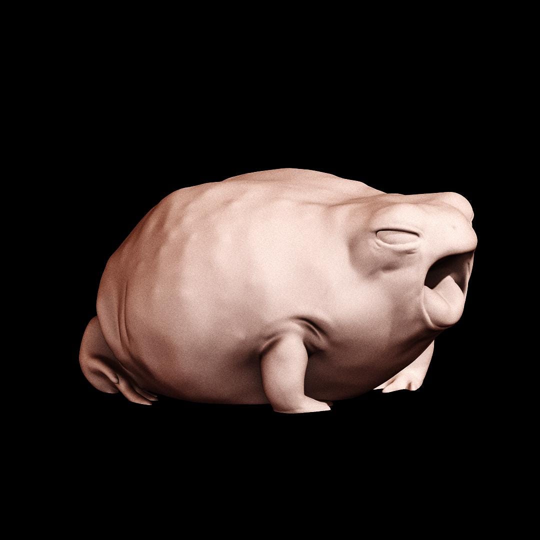 Yawning Desert Rain Frog [digital Download] - Etsy