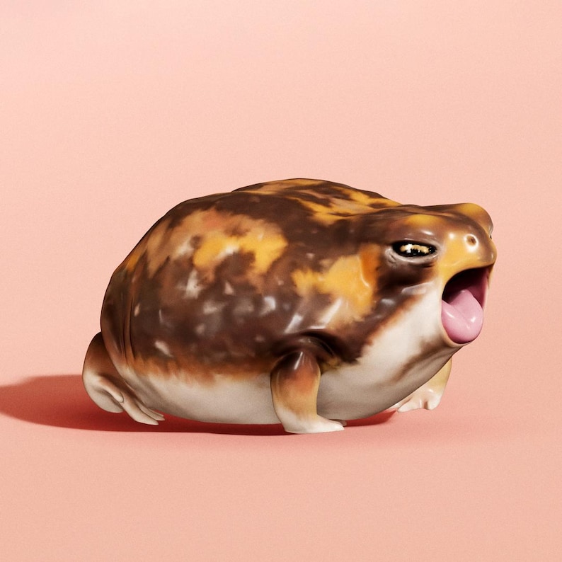 Yawning Desert Rain Frog [digital Download] - Etsy
