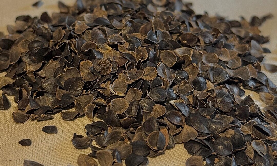 Buckwheat Hulls for Pillows, Cushions & Crafts | Natural Filling | Bulk ...