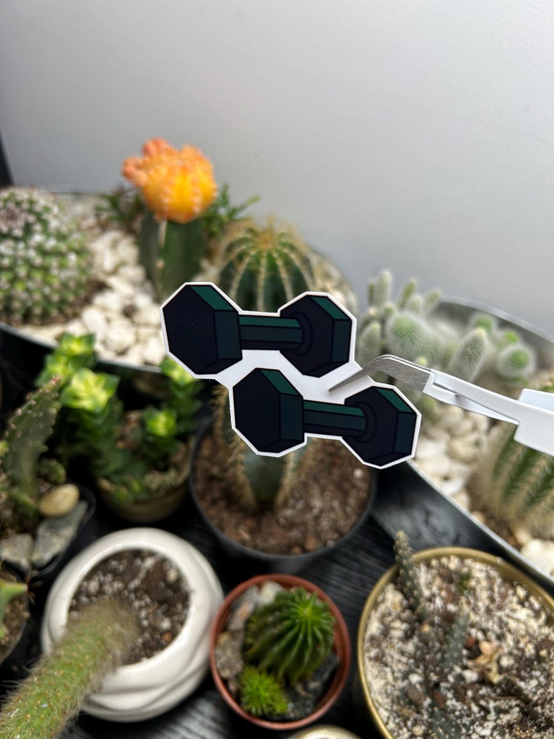 Cactus Jack’s Dumbbells Sticker | Waterproof Vinyl Sticker | Water ...