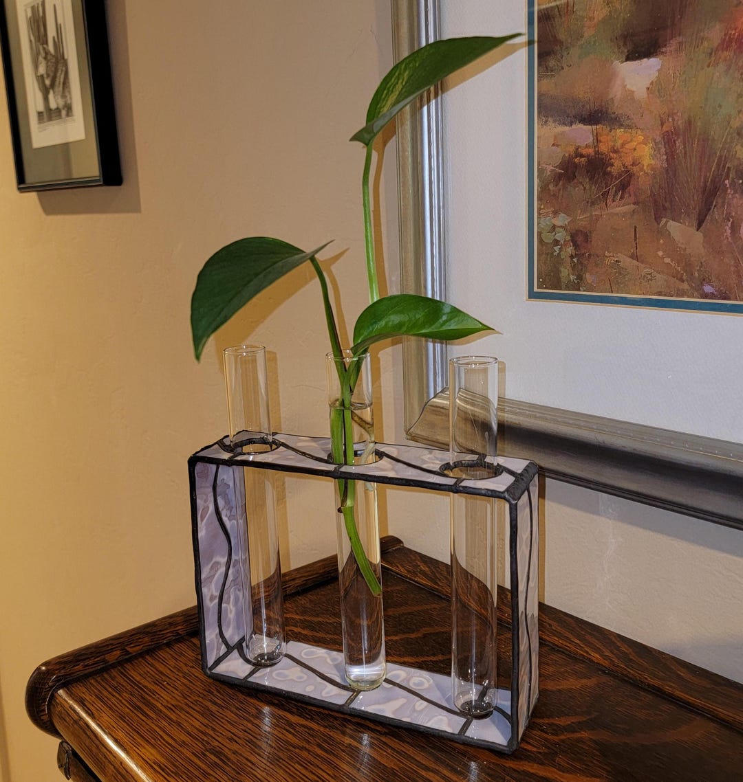 Triple Plant Propagation Holder - Etsy