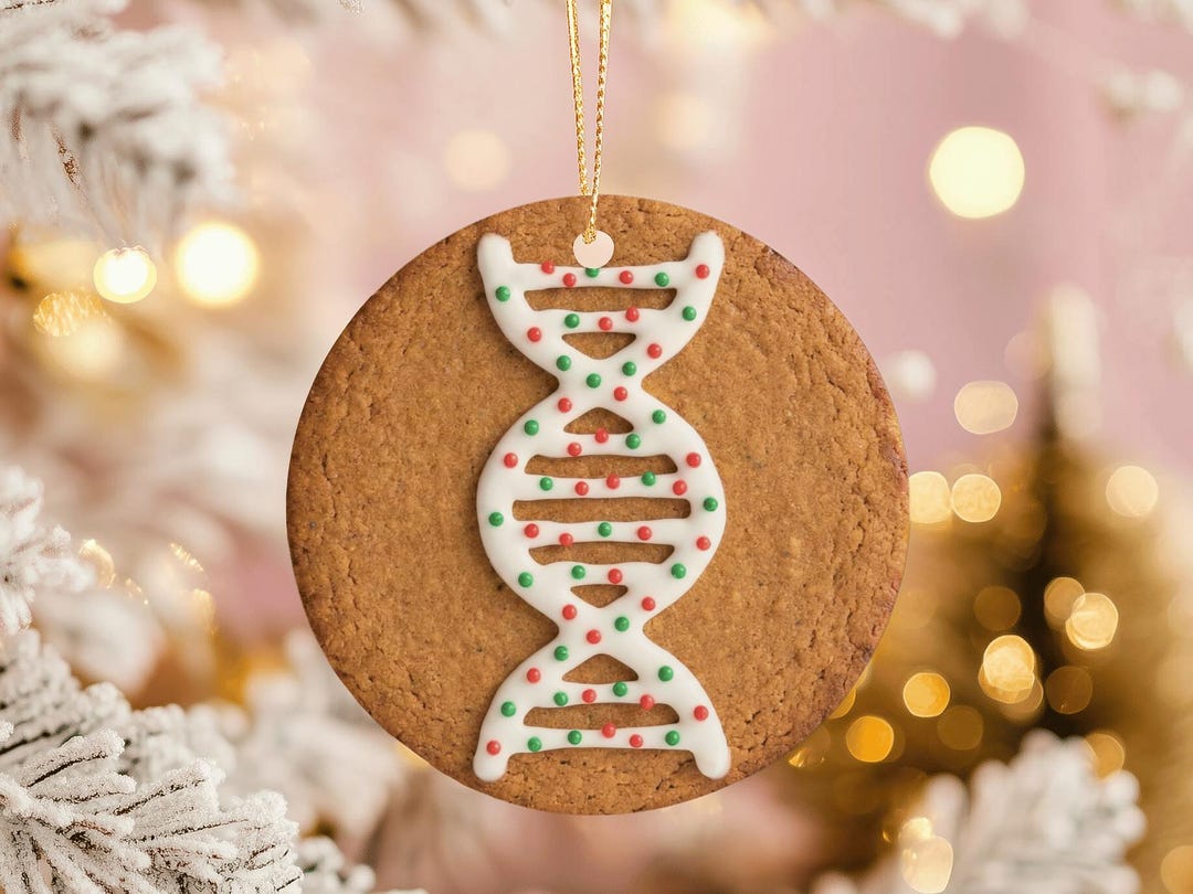 Gingerbread DNA Helix Christmas Ornament, Science Gift - Etsy