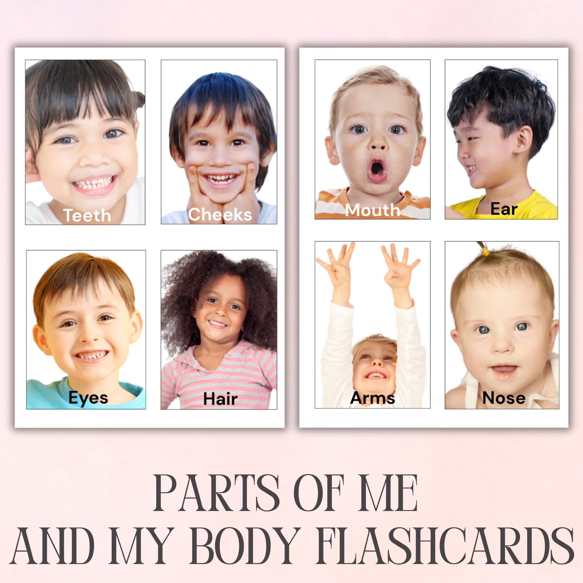 Parts of Me and My Body Flashcards Booklet / Real Life Photos / Kids ...