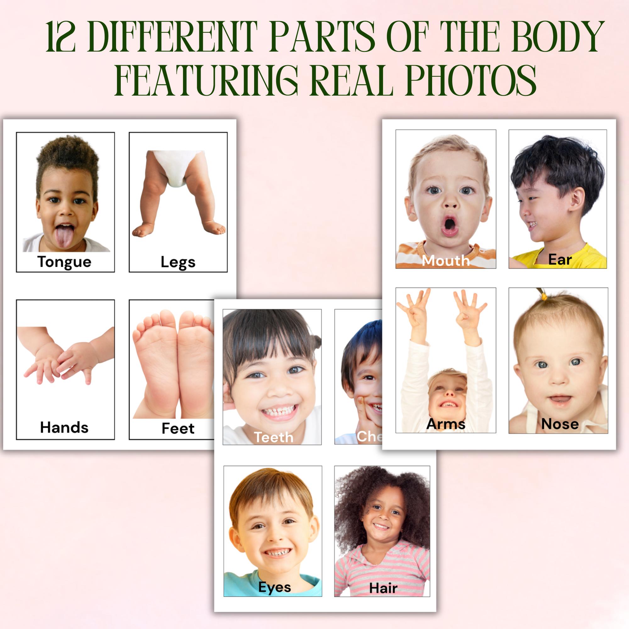 Parts of Me and My Body Flashcards Booklet / Real Life Photos / Kids ...