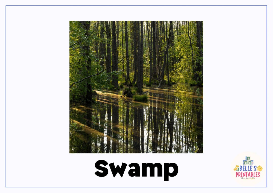 Waterform Flashcards for Kids - Etsy
