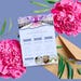 Event Venue Pricing Guide, Customizable Canva Template (digital ...
