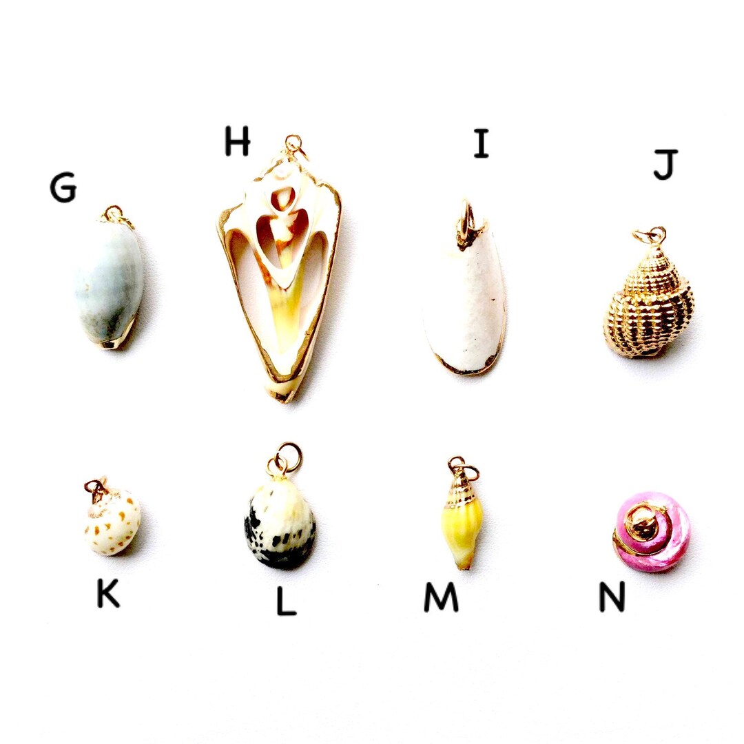 Sea Shell Customizable Necklace. You Choose Shell Chain - Etsy