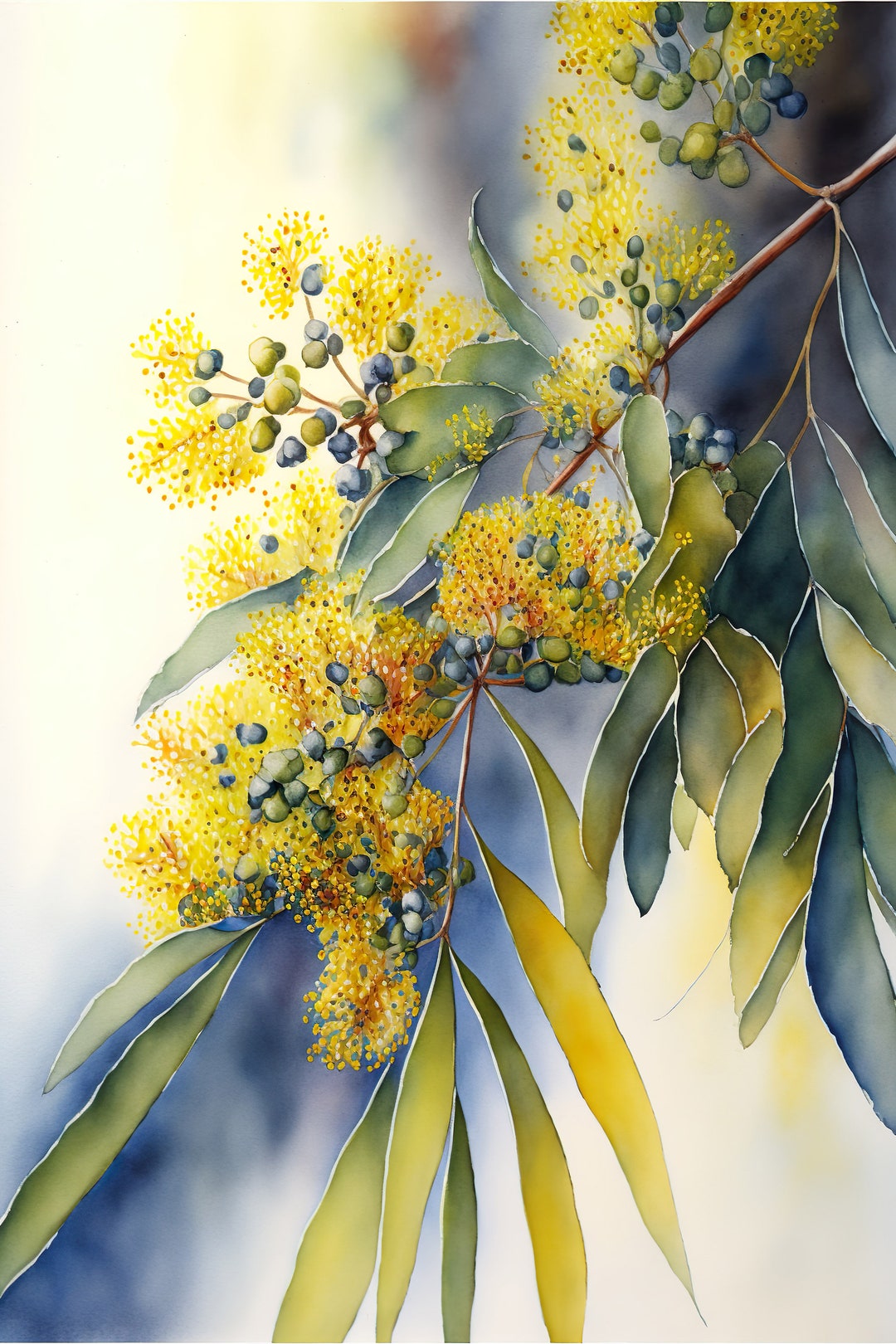 Wattle Australian Native Tree Flower Watercolour Painting 3 Digital ...