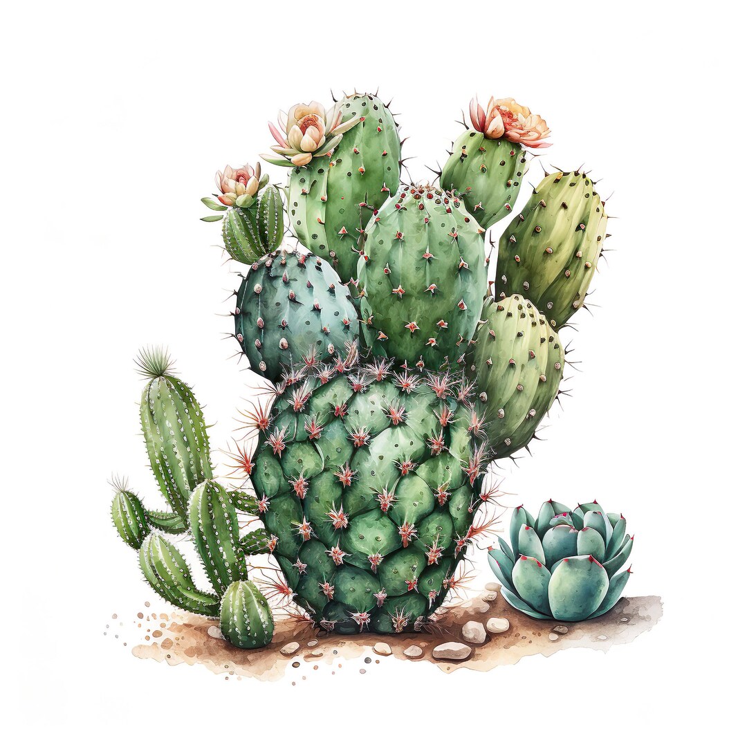Cactus 2 Watercolor Painting Digital Download Print - Etsy