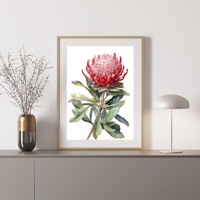 Waratah Australian Native Tree Flower Watercolour Painting Digital ...