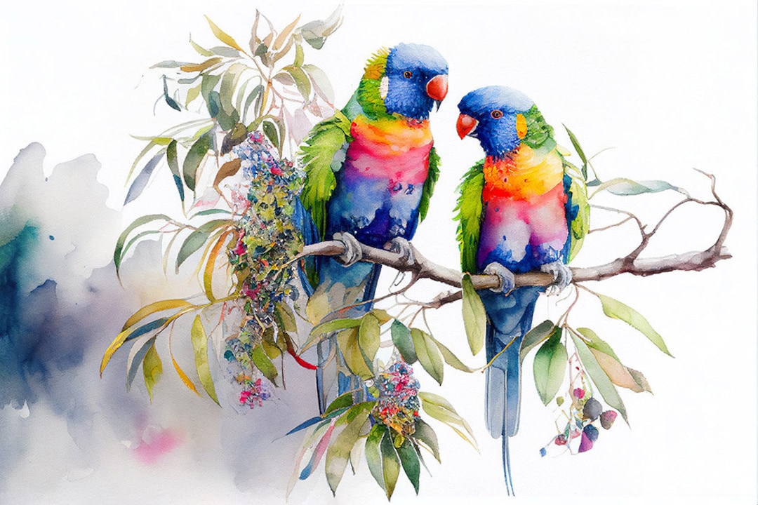 Rainbow Lorrikeets Australian Birds Watercolor Painting 1 Digital ...