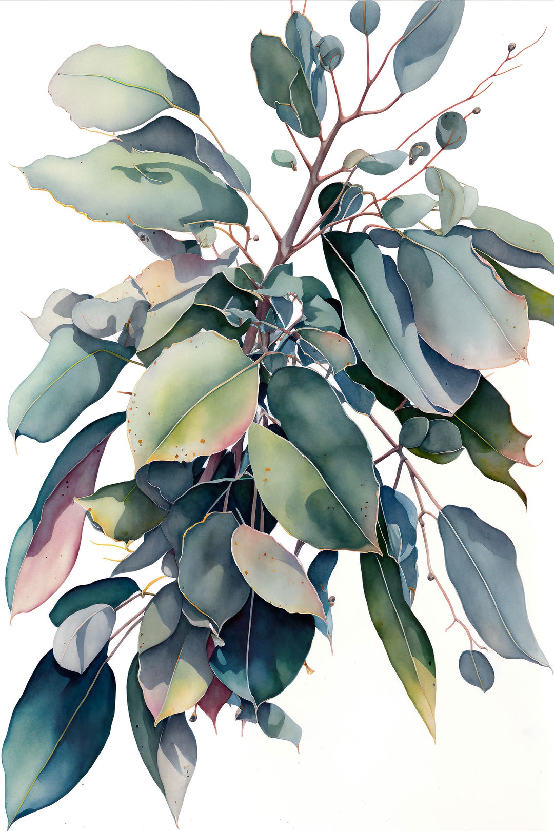 Eucalyptus Australian Native Tree Flower Watercolour Painting 4 Digital ...