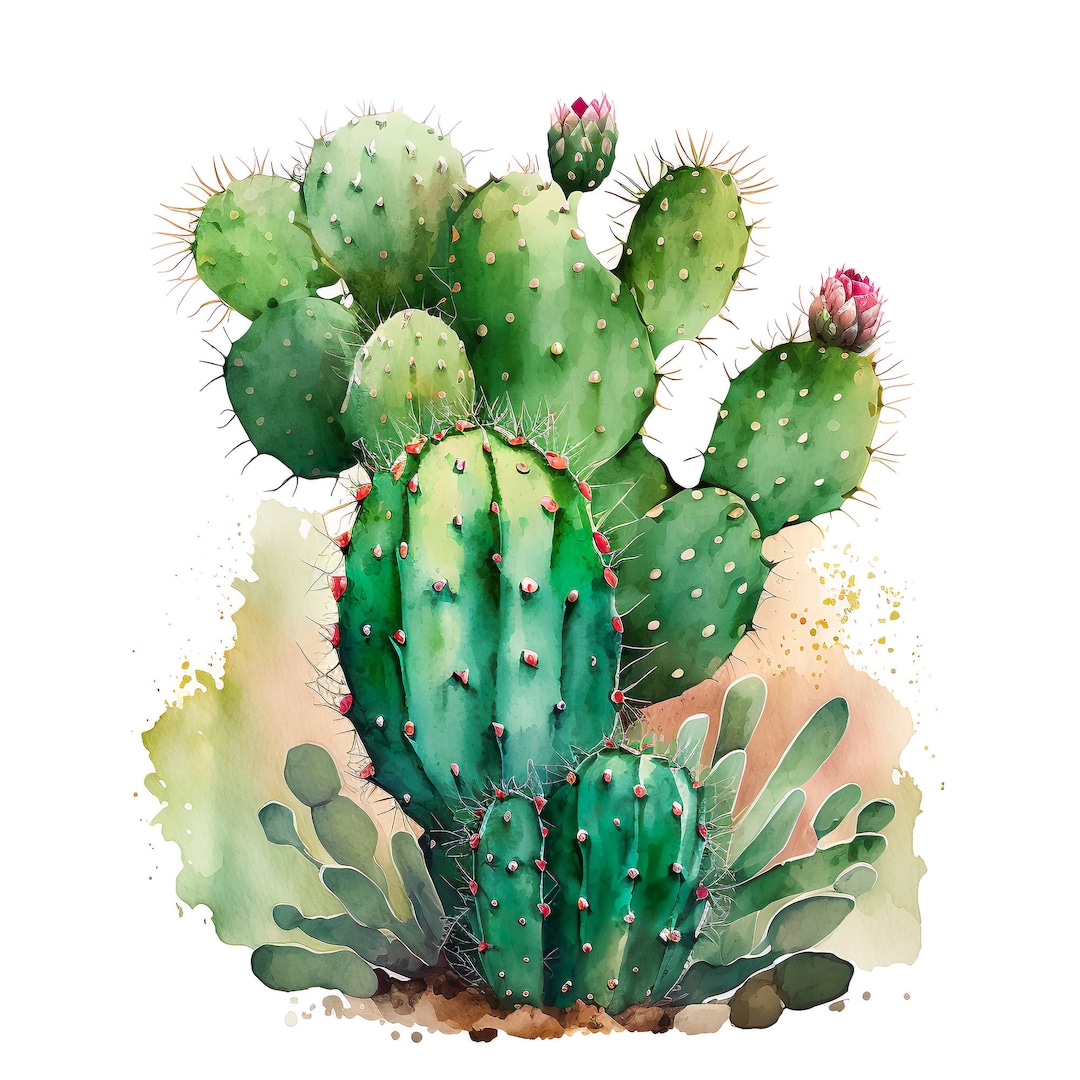 Cactus 1 Watercolor Painting Digital Download Print - Etsy
